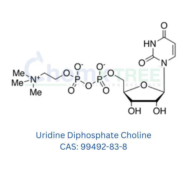 Uridine Diphosphate Choline – CHEMXTREE STANDARDS